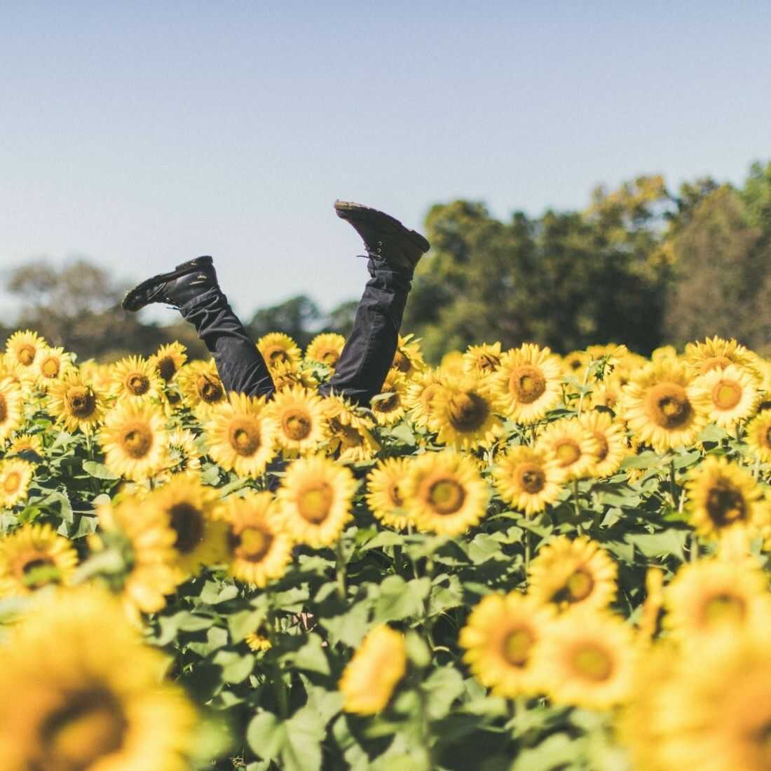 HOW TO FIND HAPPINESS IN A BUSY LIFE - Usha Maharaj Coaching & Training